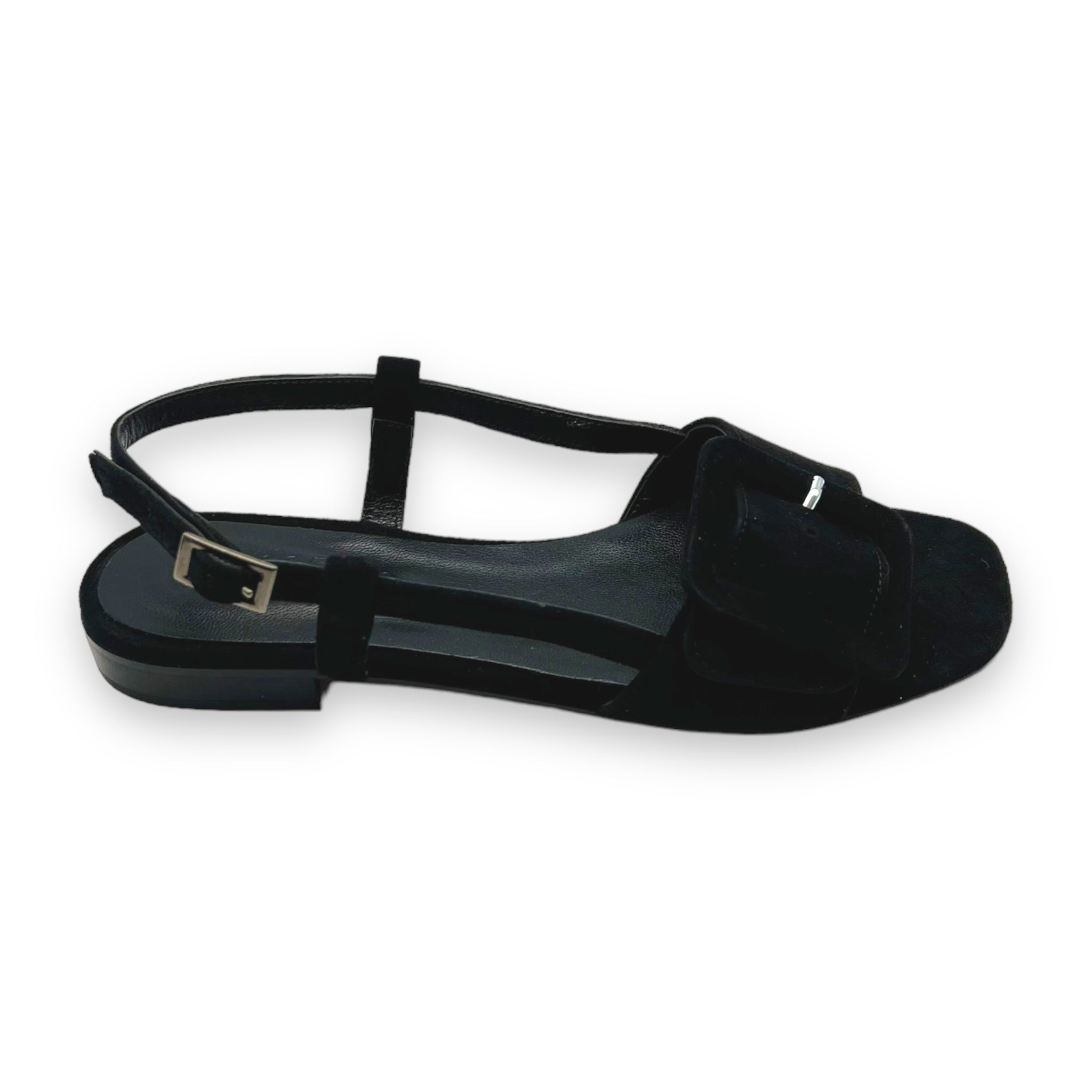 Scilla Nero – ChiMar