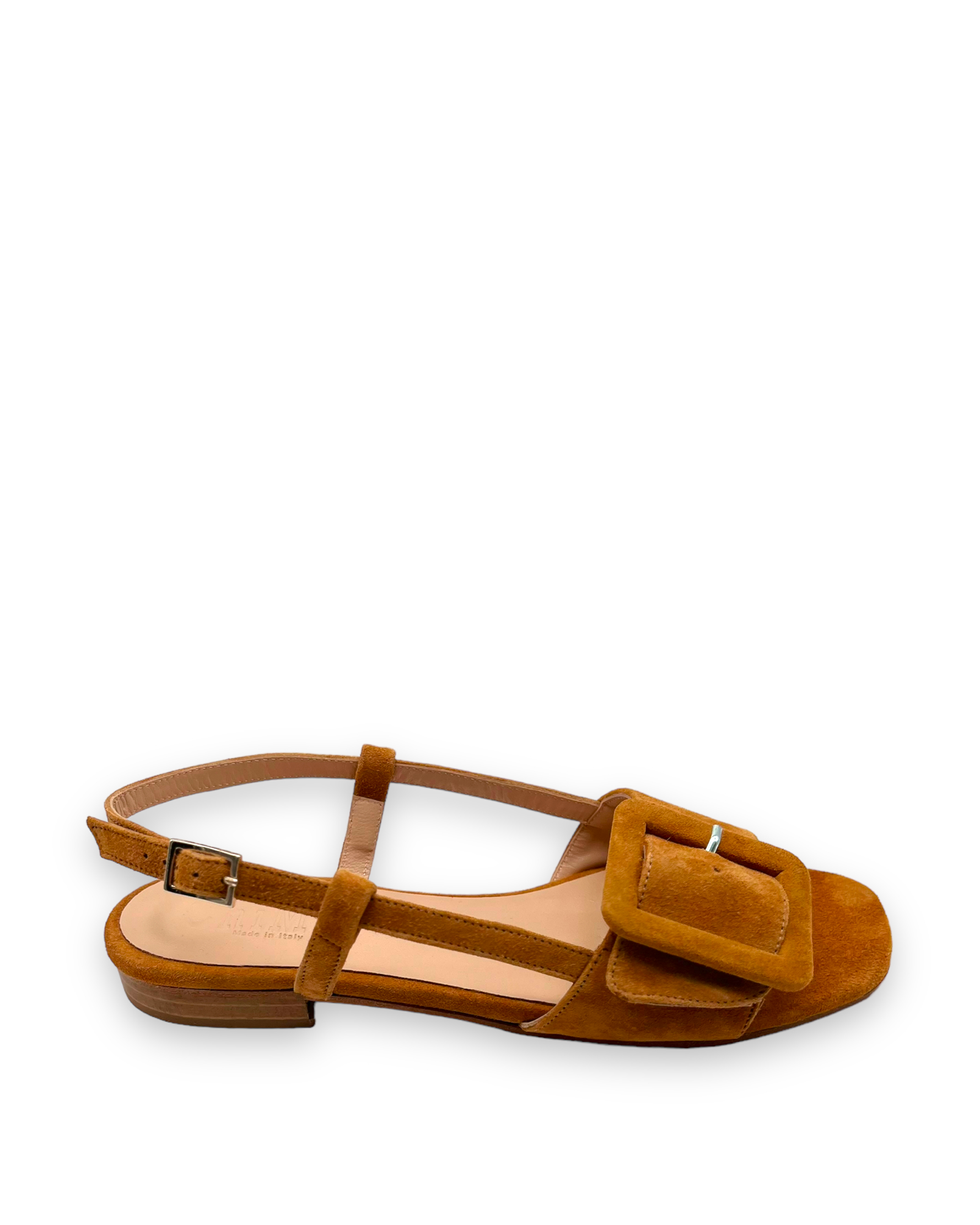 Scilla Curcuma – ChiMar